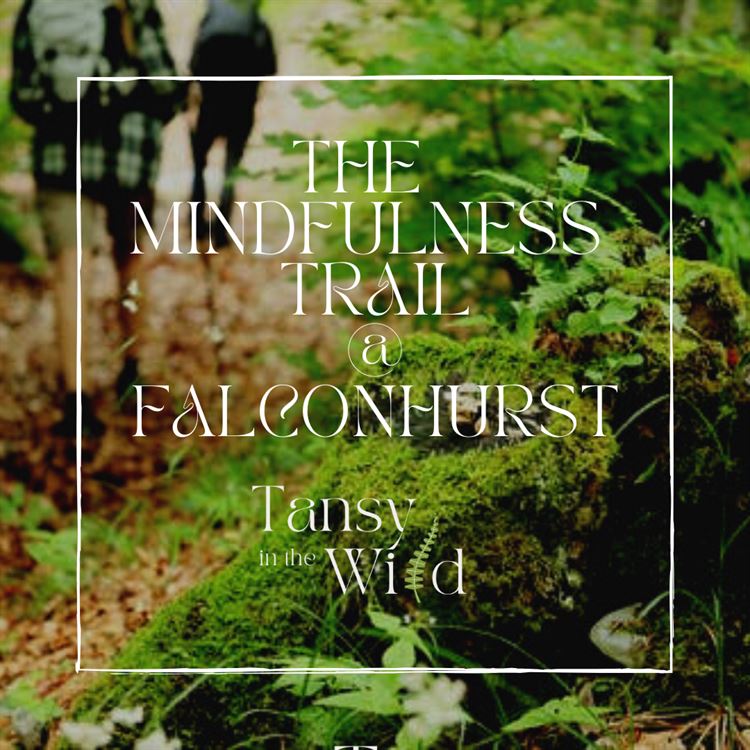 The Mindfulness Trail @ Falconhurst Estate